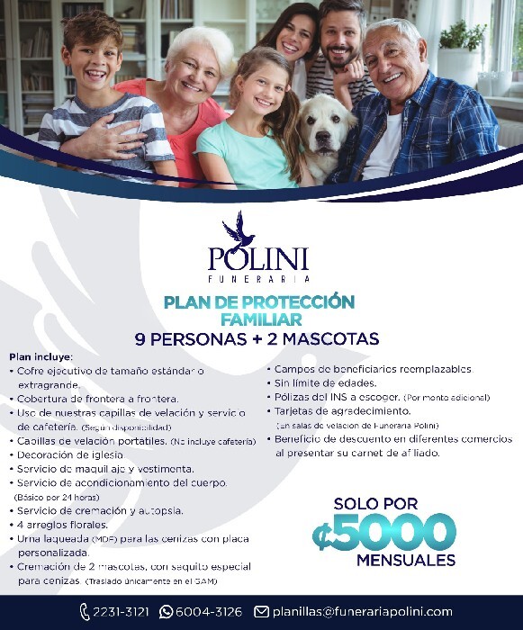 Polini :: asonumar.com